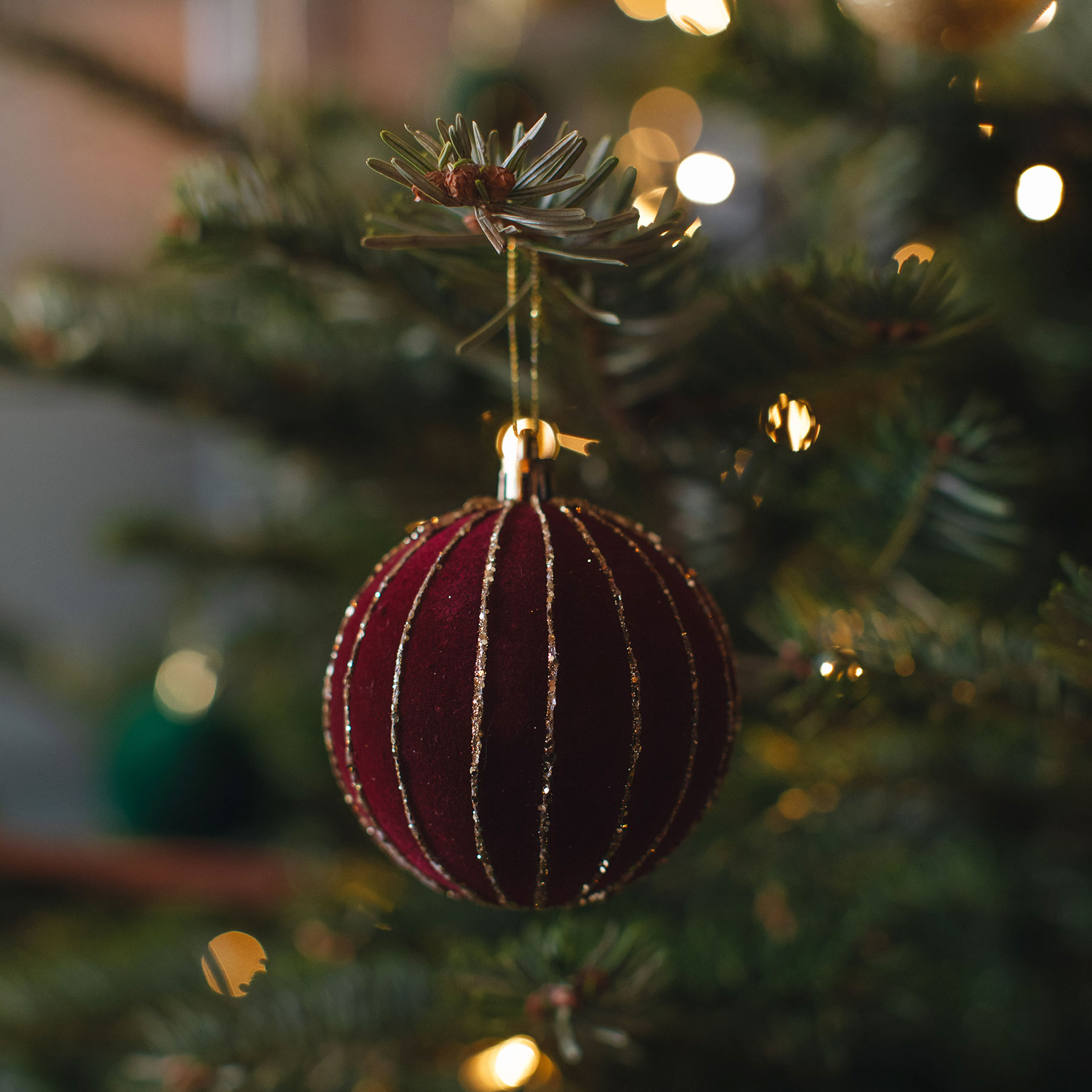 Barley Mow: Christmas